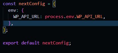 javascript - Environment variables not working (Next.JS 9.4.4) - Stack ...