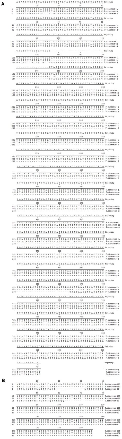 a alignment analysis of the full length salamander amelogenin gene
