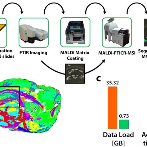 Concept Of Multimodal Ftir Guided Maldi Mass Spectrometry Imaging In A Download Scientific