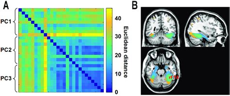 a similarity matrix between the whole brain maps of r values