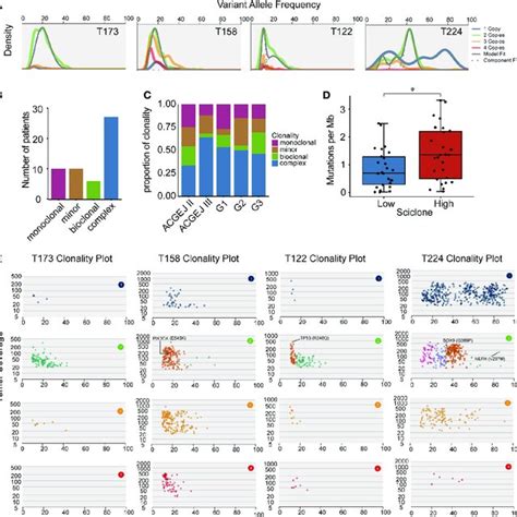 The Clonal And Subclonal Architectures Inferred In Our Acgej Samples