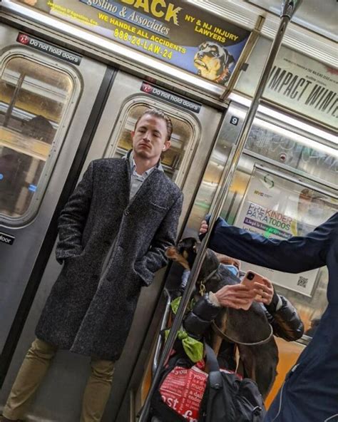 Unexpected Coincidences In Public Transport Others