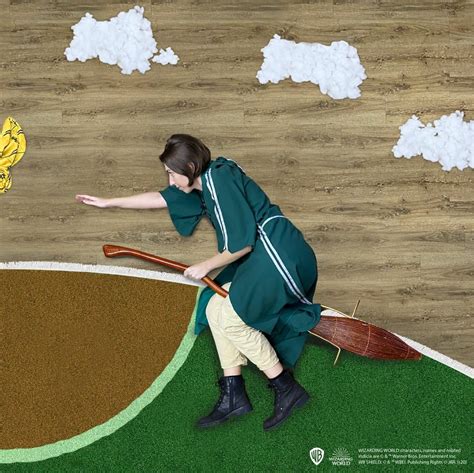 위자드몰 해리포터 Nimbus 2000 리미티드 에디션