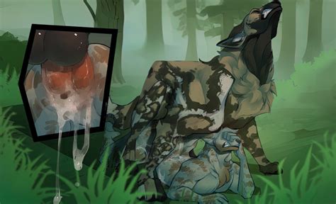 Rule 34 African Wild Dog Animal Genitalia Anthro Anthro On Feral