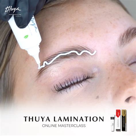 Thuya Lash And Brow Tints