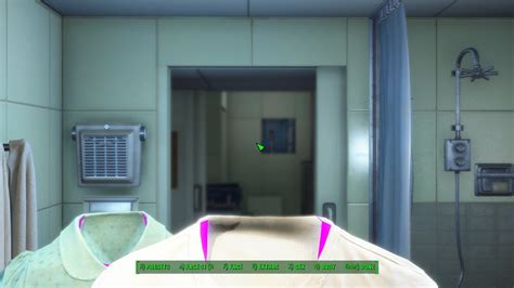 Missing Head And Body Parts When Starting A New Game Fallout 4