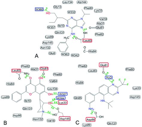 Three Binding Modes In Cdk2 Atp Pocket A Roscovitine 88 B