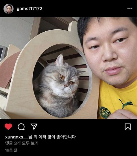 [감스트 인스타] 숲 Soop 에펨코리아