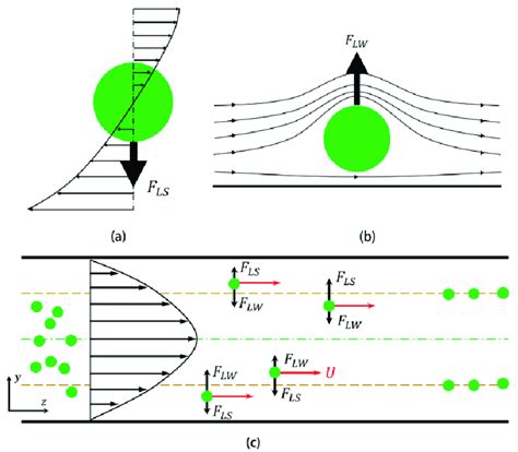 A Flow Field Of FLS B Flow Field Of FLW C Flow Field Download Scientific Diagram