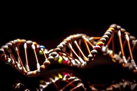 Understanding The Intricate Web Of Multi Omics Data Integration In