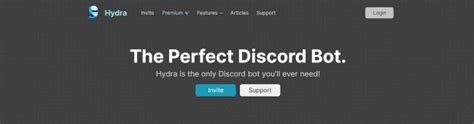 Dont Miss Out 7 Best Discord Music Bots In 2024
