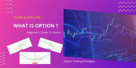 A Beginners Guide To Option Trading Blogposts