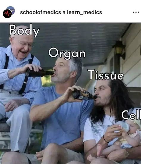 Anatomy Memes ·