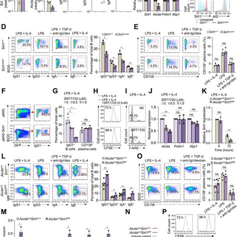 Fig S5 Aicda Cre Sirt1 Fl Fl B Cells Display Altered Dna Methylation