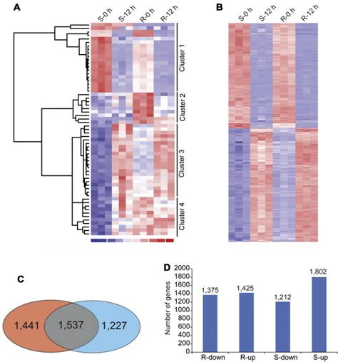 Overall Analysis Of Differentially Expressed Genes In The Microarray Download Scientific