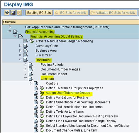 Sap Fico Module Learning Define Tolerance Group For Employees And