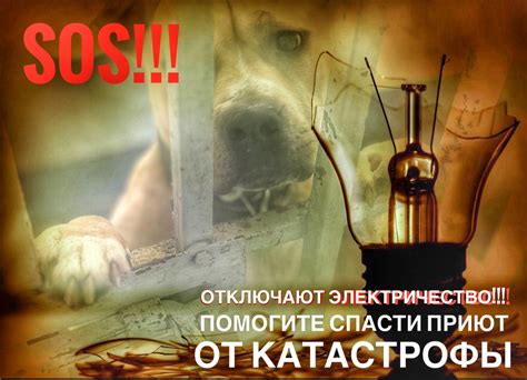 D23 E7 A38 76 F7 4550 99 A5 070611124 Ca5 — Postimages