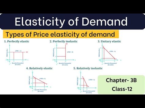 Elasticity Of Demand Examples Inelastic Demand Meaning Explained