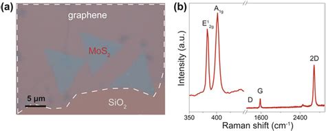 A Optical Image Of The Graphene Mos2 Heterojunction On The Sio2 Si Download Scientific