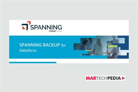 Spanning Backup For Salesforce Evaluation Criteria Martechpedia Martech News Stack