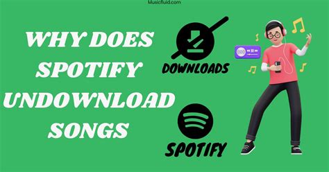 Why Does Spotify Undownload Songs 13 Effective Solutions