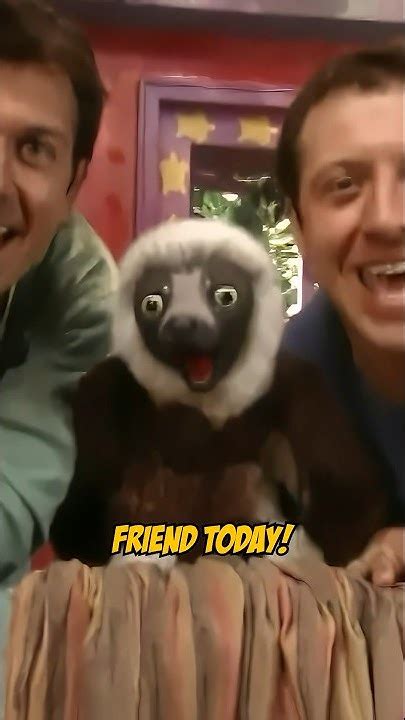 Animal Friends Song Zoboomafoo Youtube