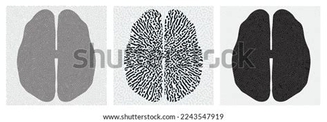Abstract Human Brain Top View Reaction Stock Vector Royalty Free 2243547919 Shutterstock