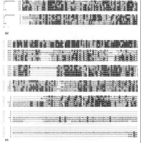 multiple protein sequence alignment a the predicted asnrs of