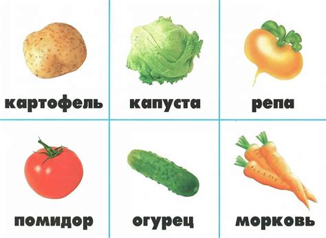 Картинки Овощи и фрукты для детей 2 3 лет 37 шт 9072