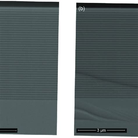 Cross Section Sem Images At 30 K × Magnifications Of A A Bulk