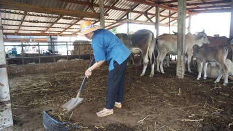 สศก เผยปี 65 เกษตรกรไทยมีรายได้ 206 310 บาท ปี แต่ก็หมดไปกับค่าปุ๋ยยาฯ 55 40 เกษตรก้าวไกล