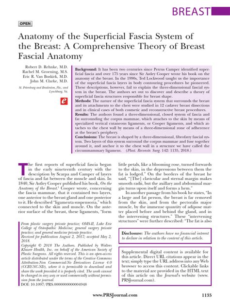 Anatomy Of The Superficial Fascia System Of The Pdf Breast Vertebra