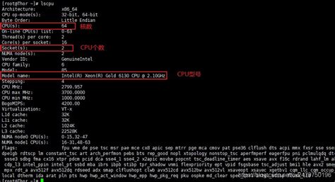 linux常用查看cpu信息的命令 linux查看cpu命令 csdn博客