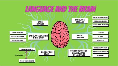 Language And The Brain Genially