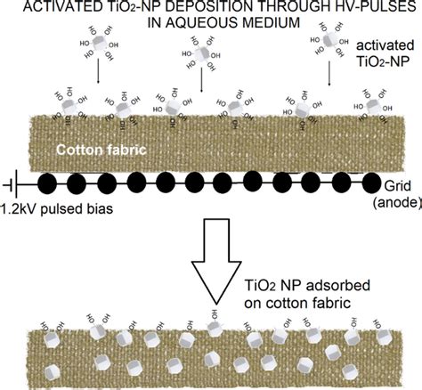 Schematic Drawing Of The Process Proposed By Dos Santos Et Al For Download Scientific Diagram