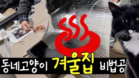 동네고양이 따뜻한 겨울집 만드는 방법 Youtube