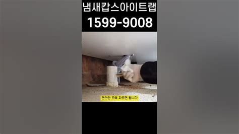 아이트랩 표준형 싱크대 하수구 트랩 냄새 제거 화장실 배수구 악취 벌레 차단 덮개 마개인천서구 아파트 싱크대 완벽차단 아이트랩 하수구냄새 인테리어 하수구트랩