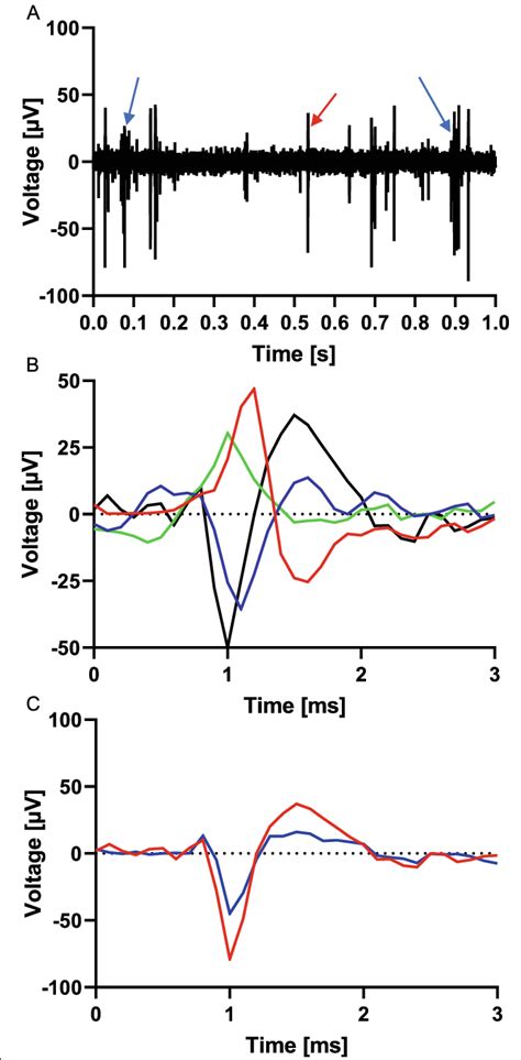 Illustration Of Signals Recorded With Multielectrode Arrays A One