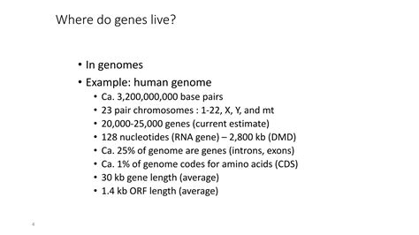 Gene Prediction Methods Pptx Genetics Science
