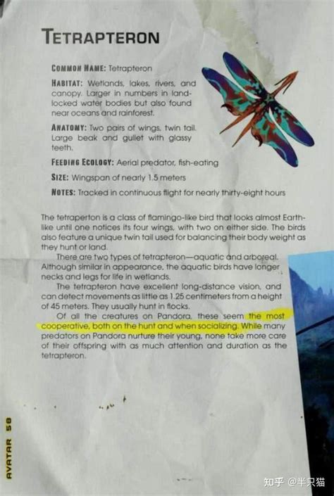 《阿凡达》 空中生物”档案，这样的设计合理吗？ 知乎