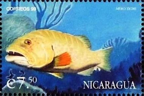 Cephalopholis Leopardus 우표