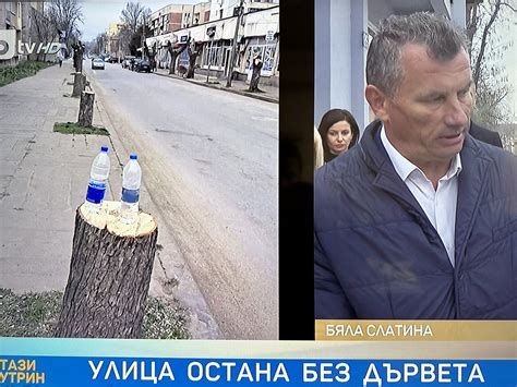 Sokolov on Twitter: "Общинари Герб в Бяла Слатина отрязали 100 кестена ...