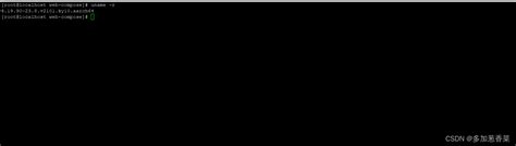 linux 查看版本信息详细版 linux查看系统版本 csdn博客