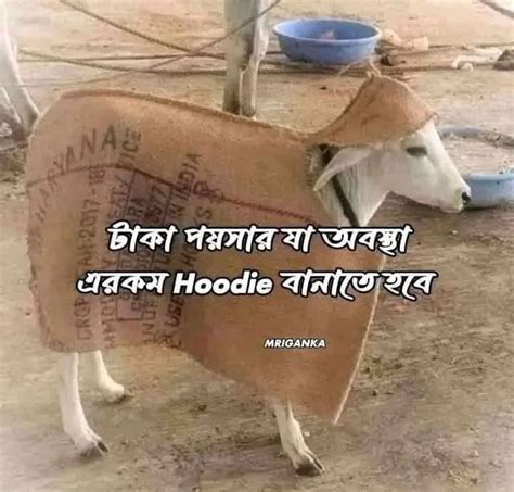 আমি পদ্মজা উপন্যাস 🥴🥴🥴🥴🥴🥴🥴