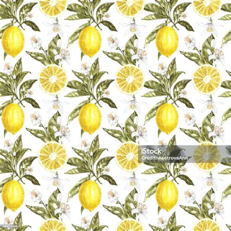 레몬 수채화 완벽 한 패턴입니다 아름 다운 손으로 그린 텍스처입니다 낭만주의 결혼식 초대장 섬유 벽지 웹 페이지에 대 한 배경 라임에 대한 스톡 벡터 아트 및 기타 이미지