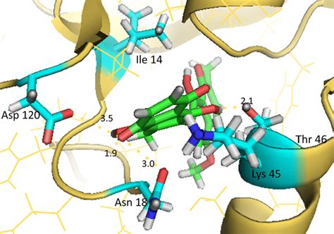 Molecular Docking Conformation Of Compound 7 In The Active Site Of