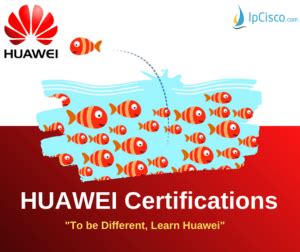 Huawei Certification Courses Hcna Hcnp Hcie Ipcisco