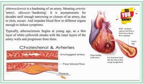 Derived Lipids Example Structure Types Importance Applications Lipids