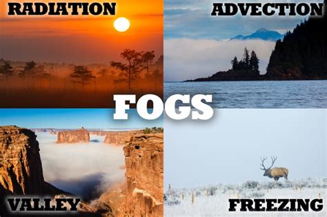 Photography In The Fog Photofocus