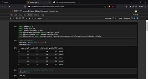 Datascience Machinelearning Internship Codsoft Randomforest